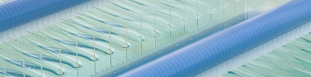 RENA BatchGlass HTX - Hot Alkaline Etching System | RENA